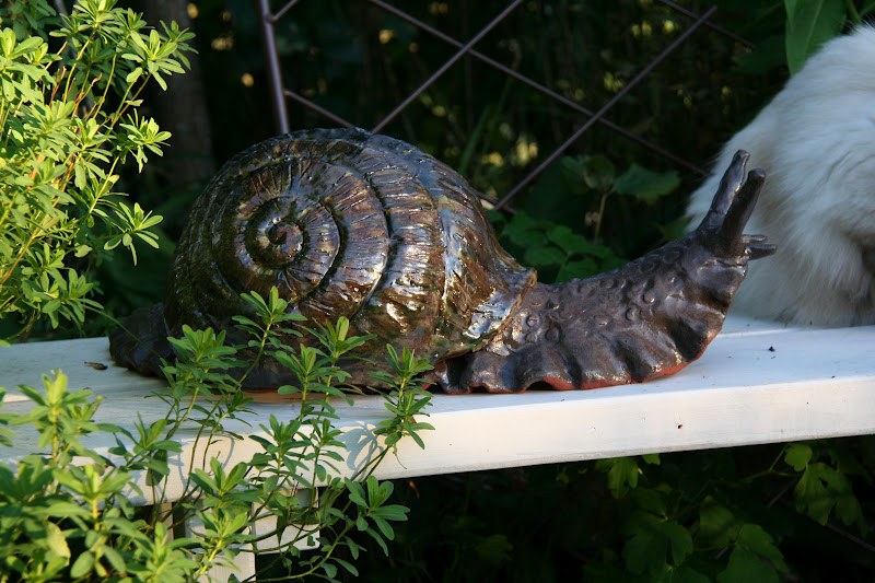 Trädgård ... drakar och lite annat!: Lilla snigel akta dig.... nu är ...
