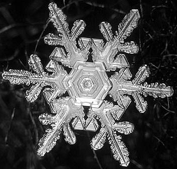 Internet Security: Meet Ice IX, Son Of ZeuS