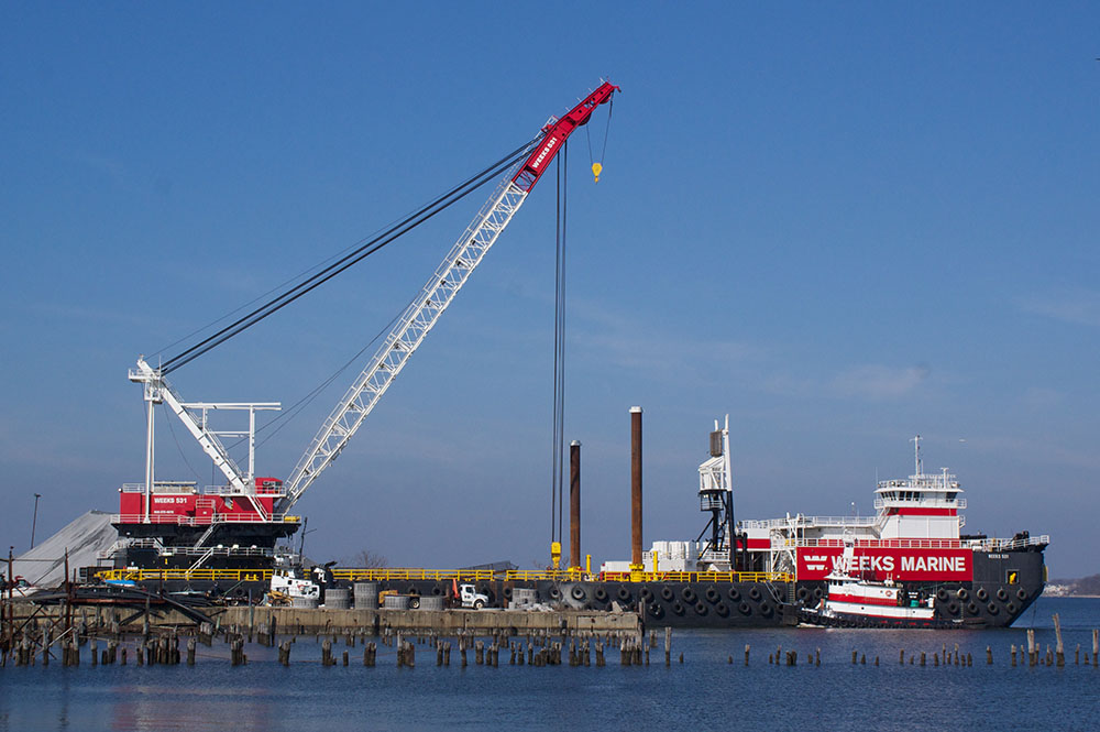 A Picture Each Day: The Monster