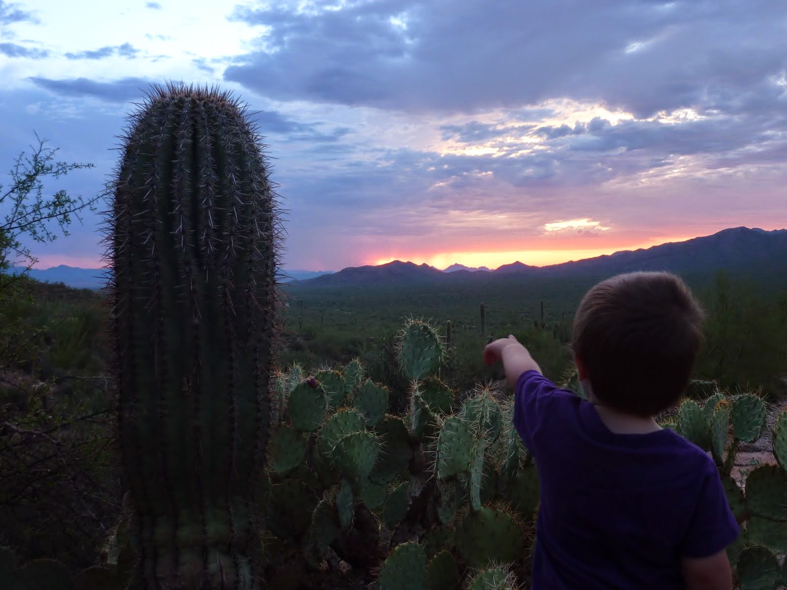Voltant per Catalunya: Gates pass sunset