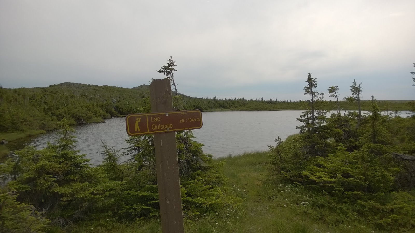 Les montagnes au Québec: Boucle Mont Olivine / Mont Albert