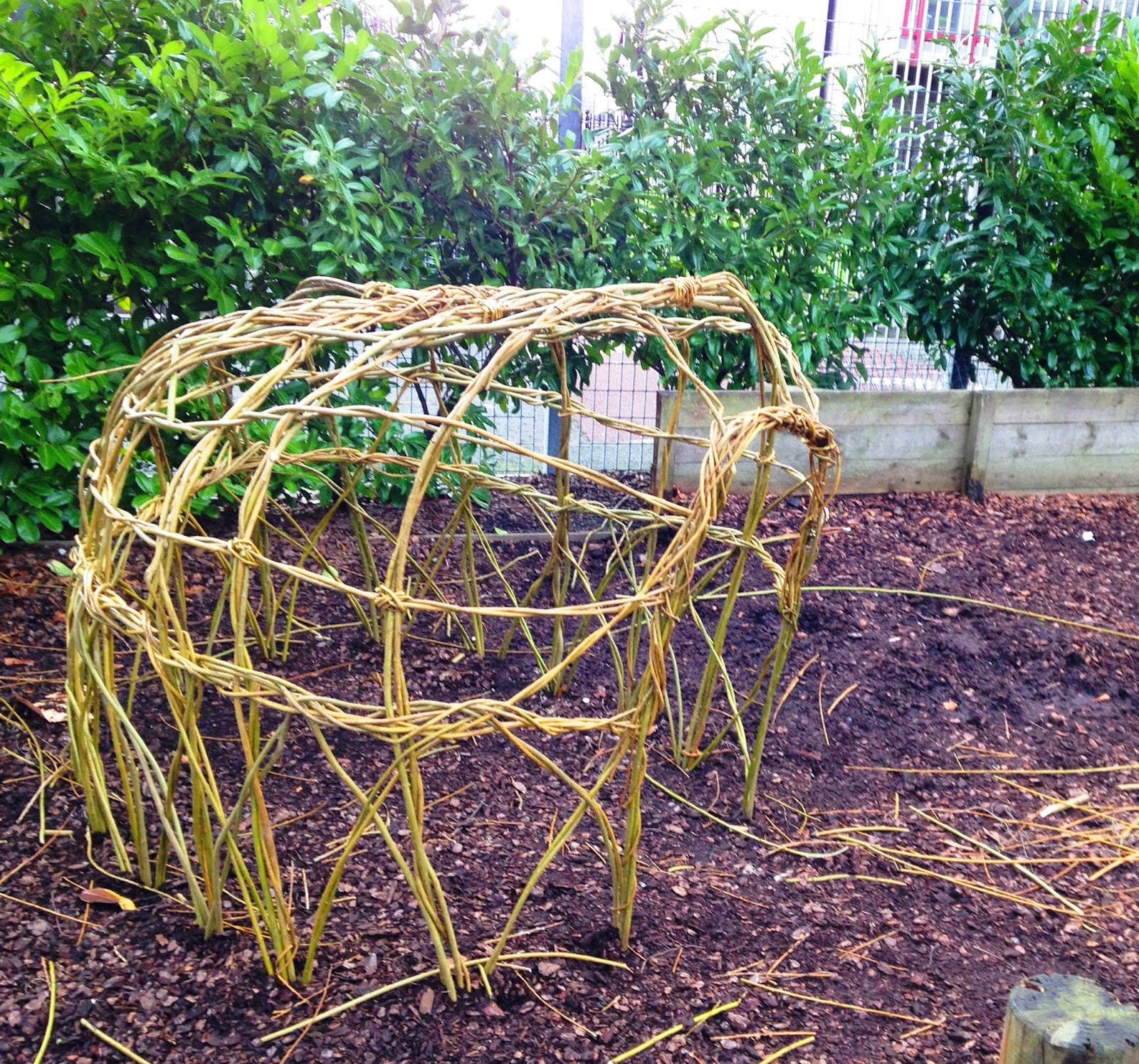 Willow Structure Gallery