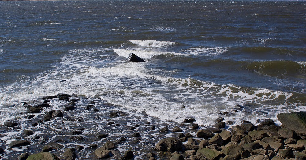 A Picture Each Day: The Howling Wind