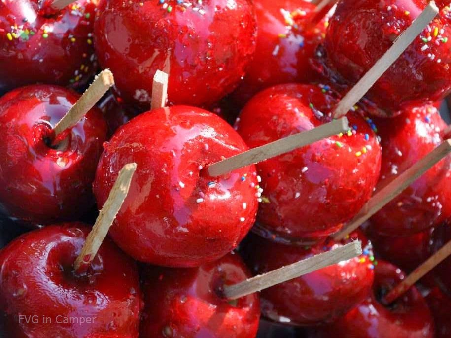 FRIULI-VENEZIA GIULIA in Camper: Gastronomia in Friuli-Venezia Giulia ...