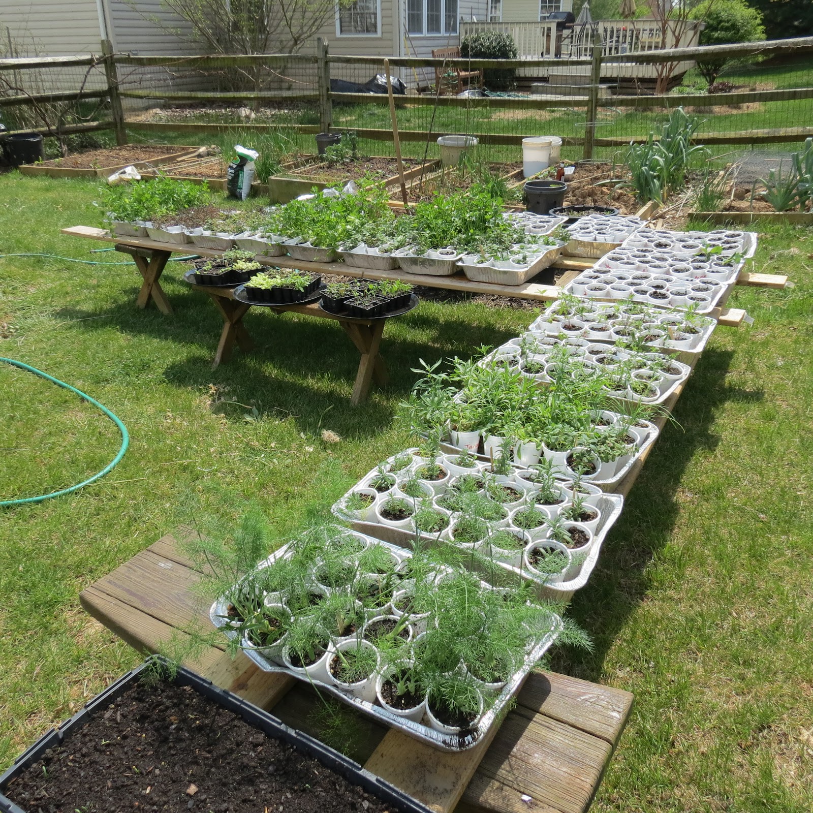 60 Seconds or Sow: Video Gardening Tips!: 60 Seconds or Sow: How to Use ...