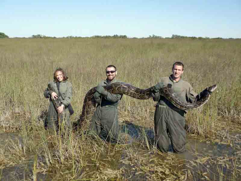 Written In Stone...seen through my lens: First Visit to the Florida ...