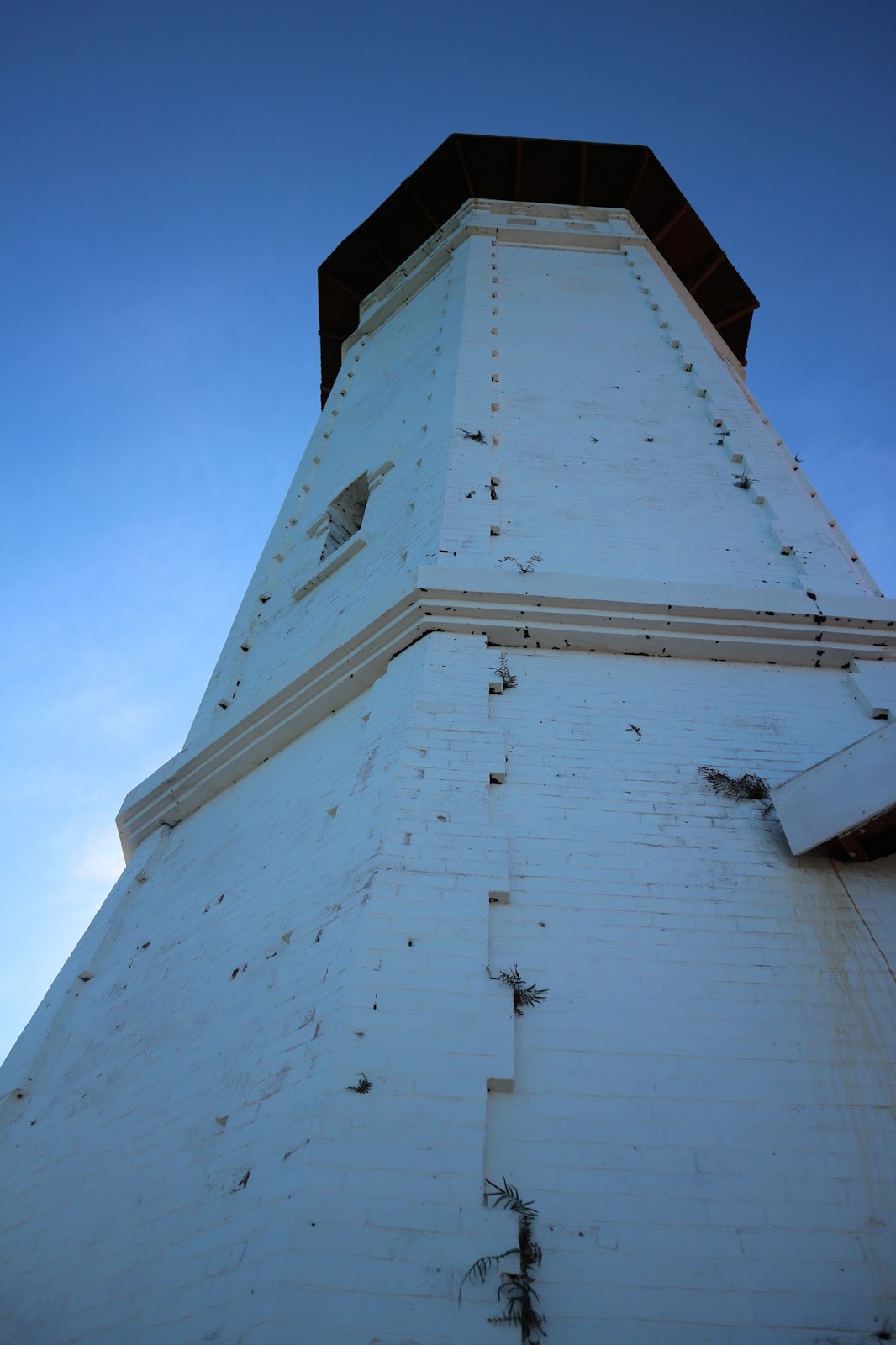 Violet Voyager: Ilocos: Adventure to the Tip