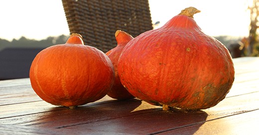 A co teda vaříš z té dýně? | Vysněná zahrada