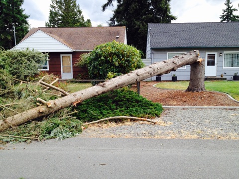 The Most Intense Summer Storm on Record - Charlie's Weather