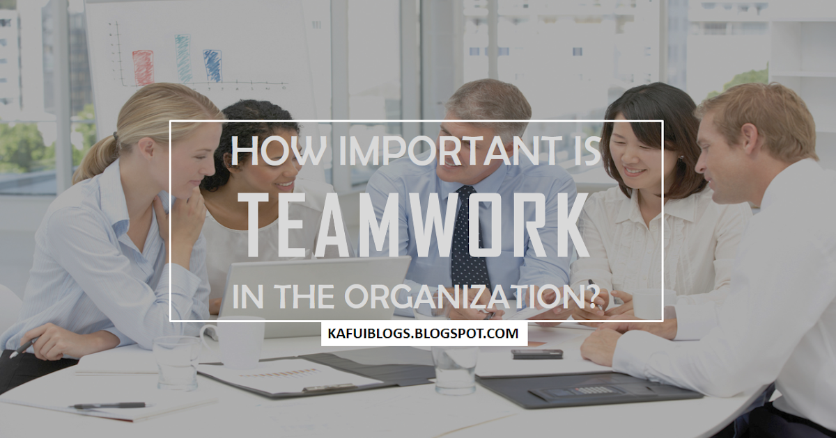 Importance Of Teamwork In The Organisation