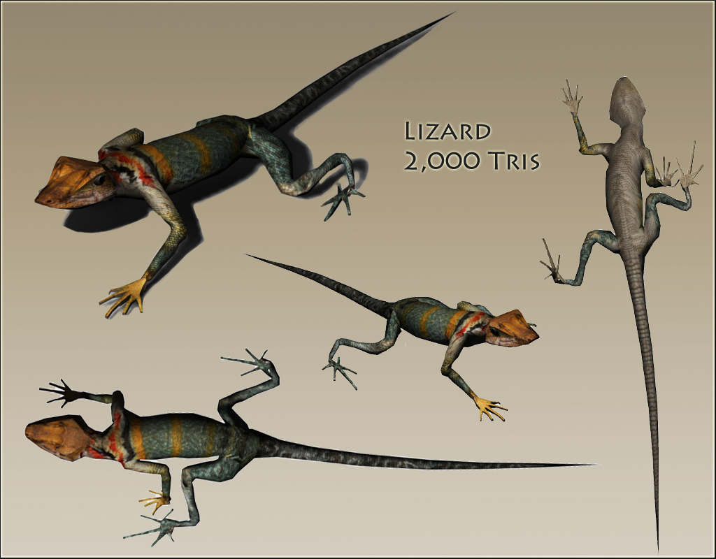 Laura Hutton's Art Blog: Lizard and Sketches