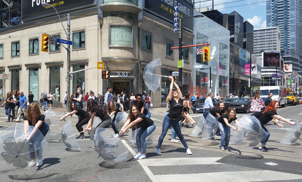 Toronto Grand Prix Tourist - A Toronto Blog: It's a Daisy Flashmob in ...