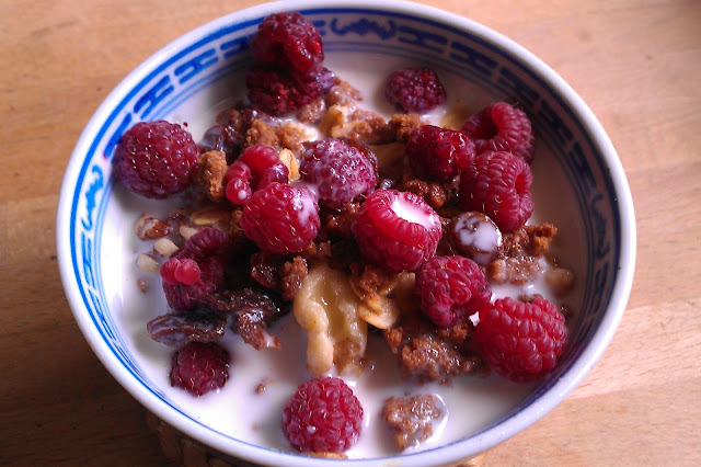 The Suburban Hippie - she's one resourceful cookie: Cold cereal for ...