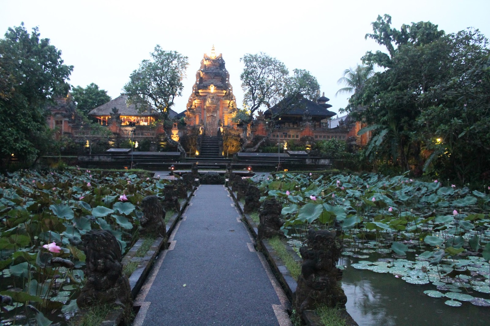 Travelogue of a wannabe traveller.: Indonesia.