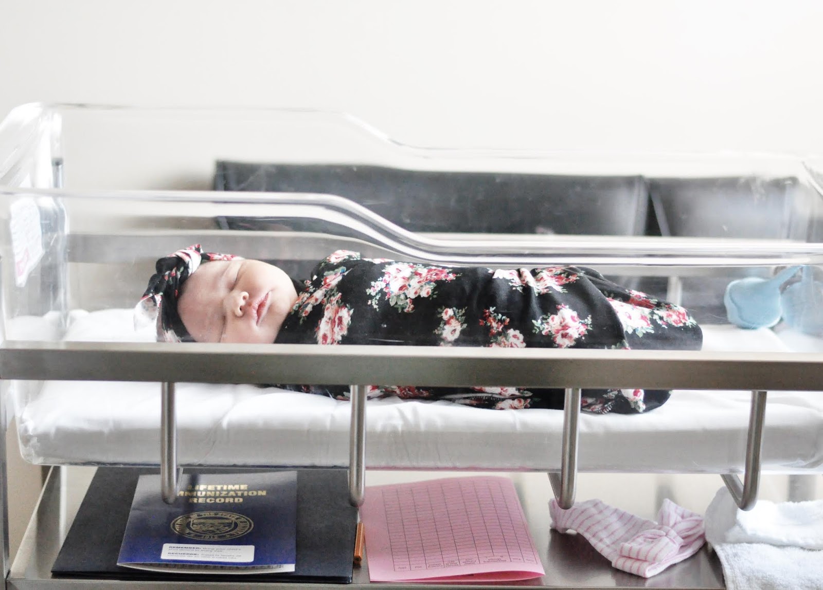 Marshall, Chelsea, Jack, and Wyatt