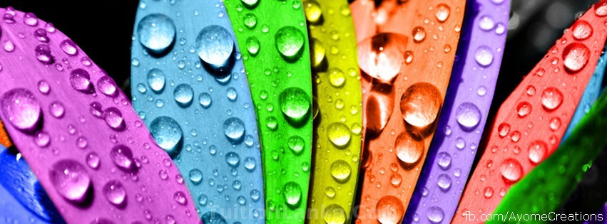 High Quality FaceBook Covers: Flower fb covers photos