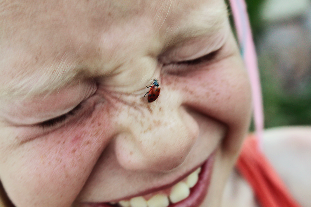 SnowyBliss: June Bugs