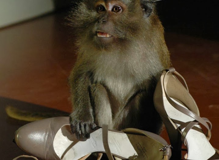 The Day Hollywood Stood Still: Argento's Three Mothers trilogy review ...