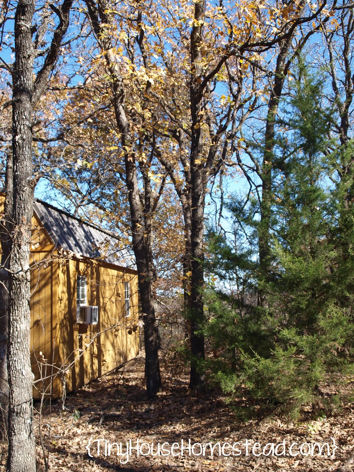 Tiny House Homestead: A Beautiful Fall Day on the Homestead