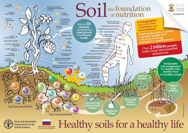 Vegans Living Off the Land: Healthy soil for a healthy life