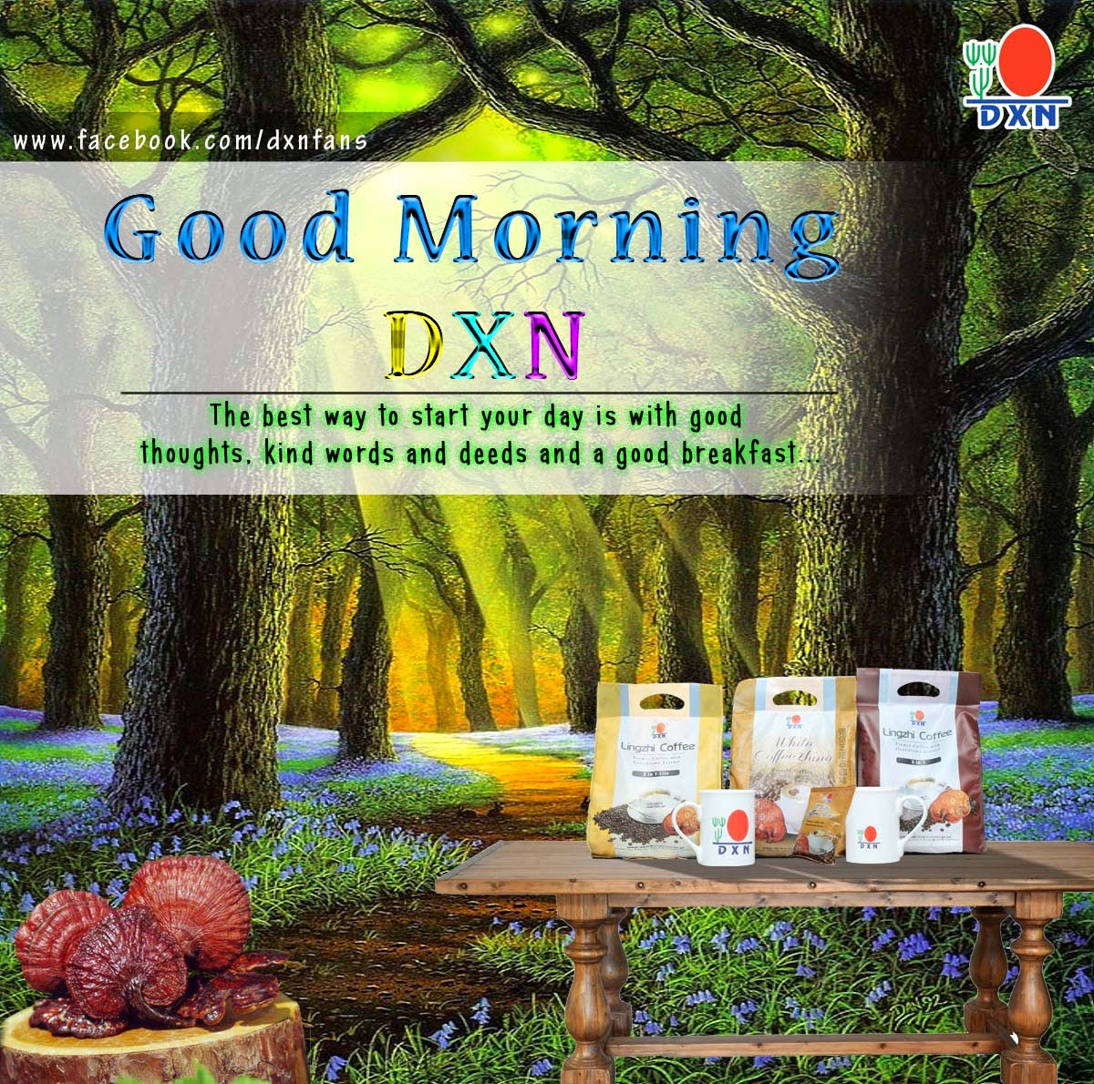 Welcome to the DXN Fans Blog