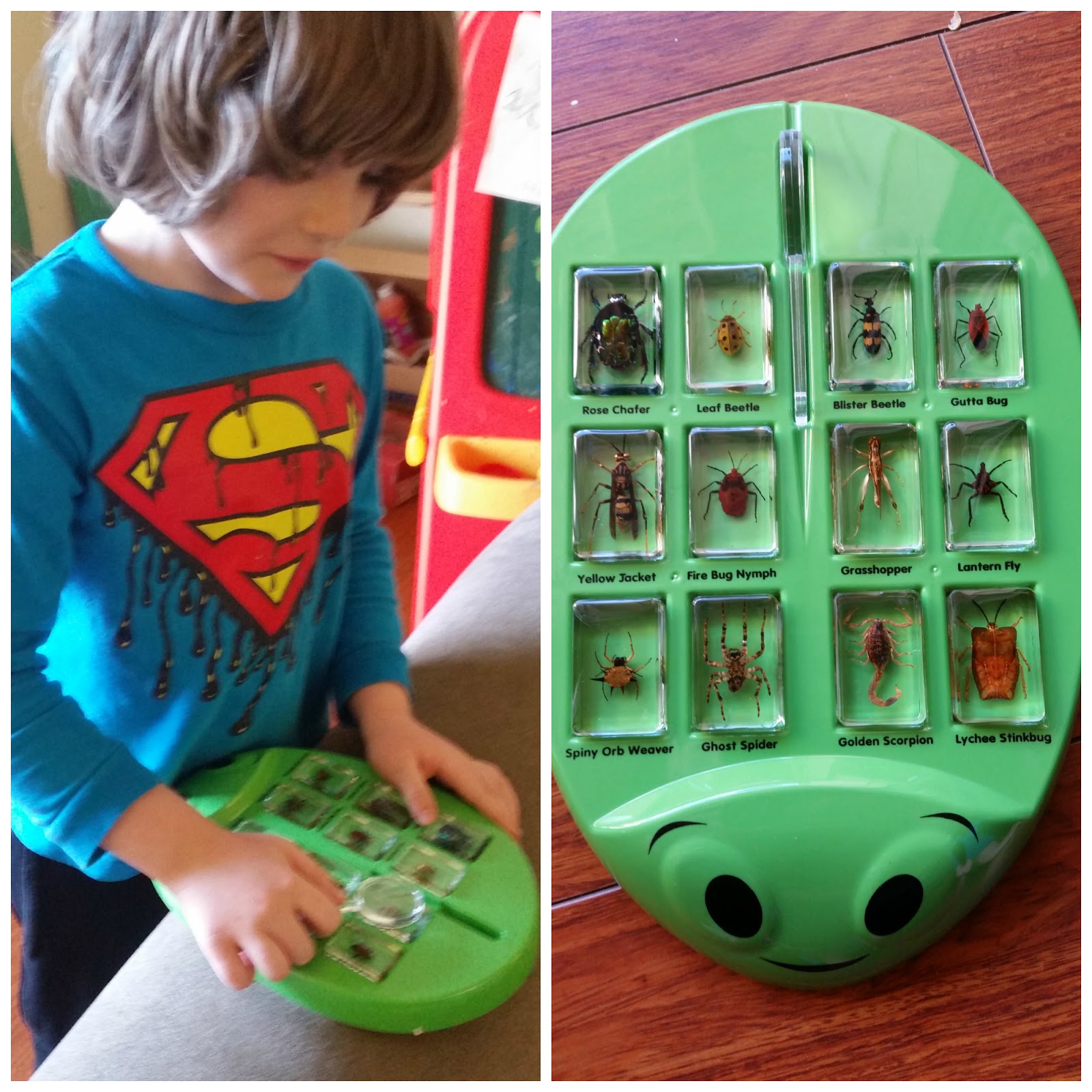 Fall in Love with Lakeshore Learning Toys and Homeschooling Resources # ...