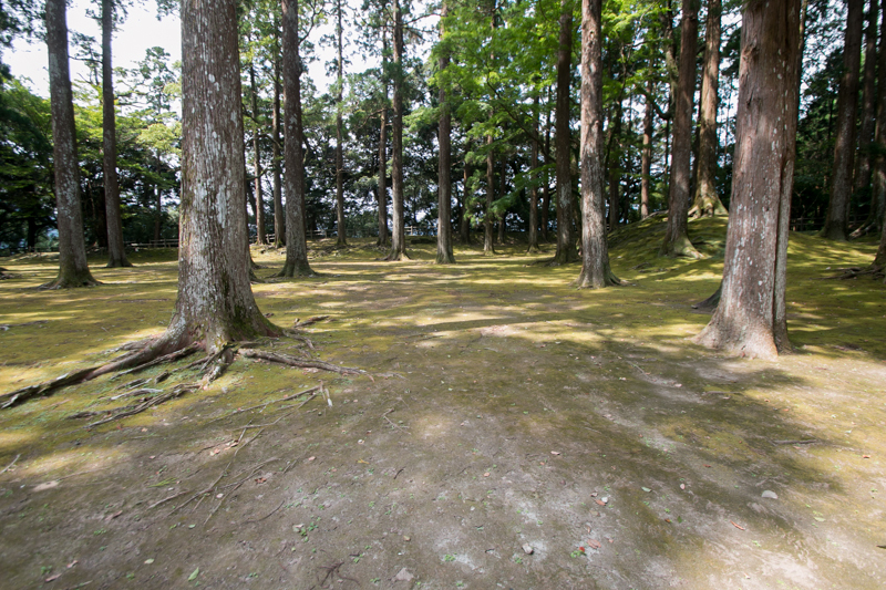 Obi Castle -Castle with sacred atmosphere looks like temple or shrine ...