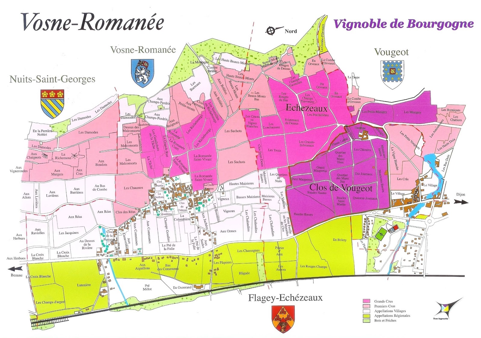 Where the Most Expensive Red Wines Come from: Vineyard Walk, Cellar ...