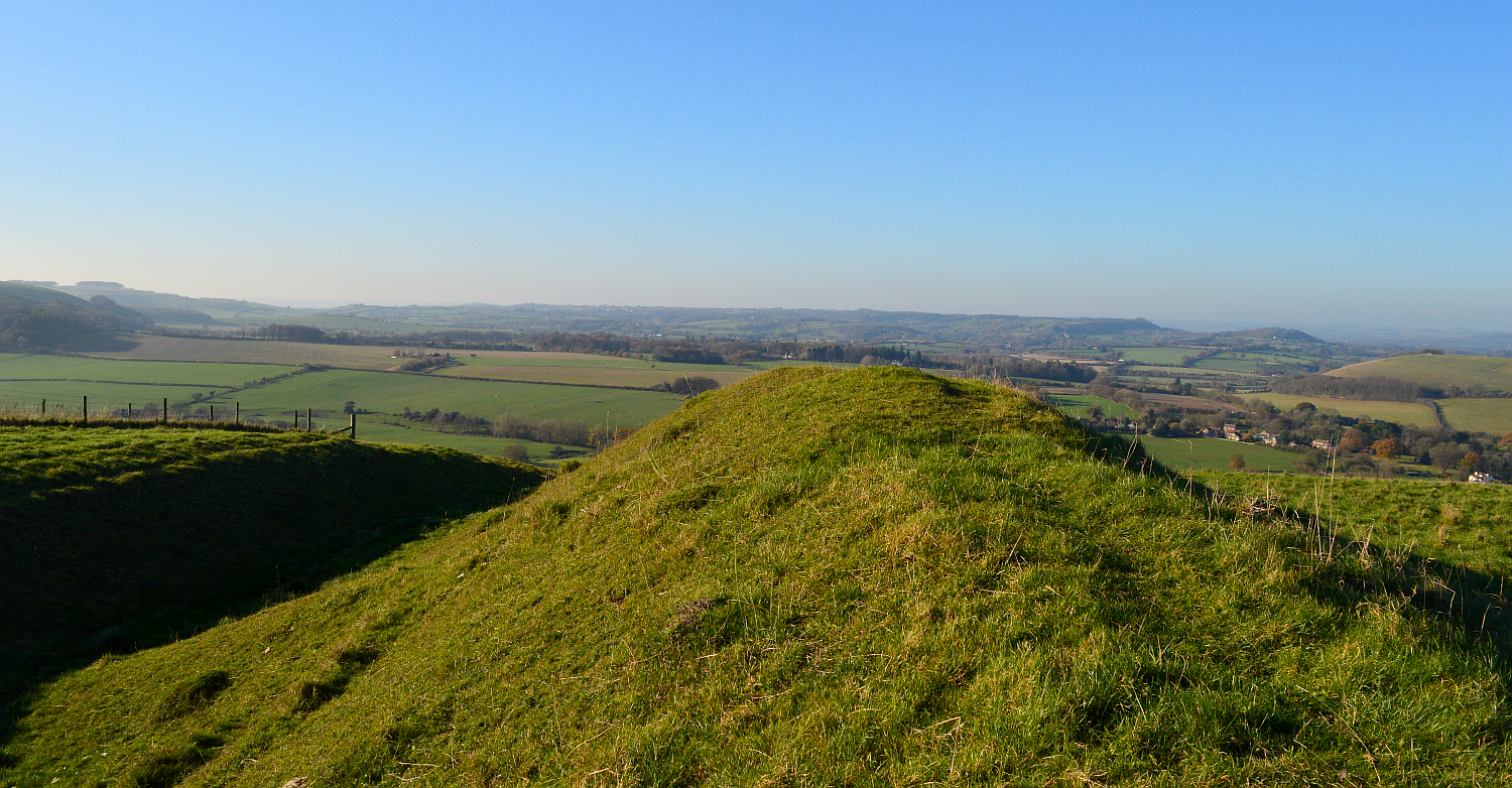 IF YOU GO DOWN TO THE WOODS TODAY....: Cranborne Chase and Winkelbury