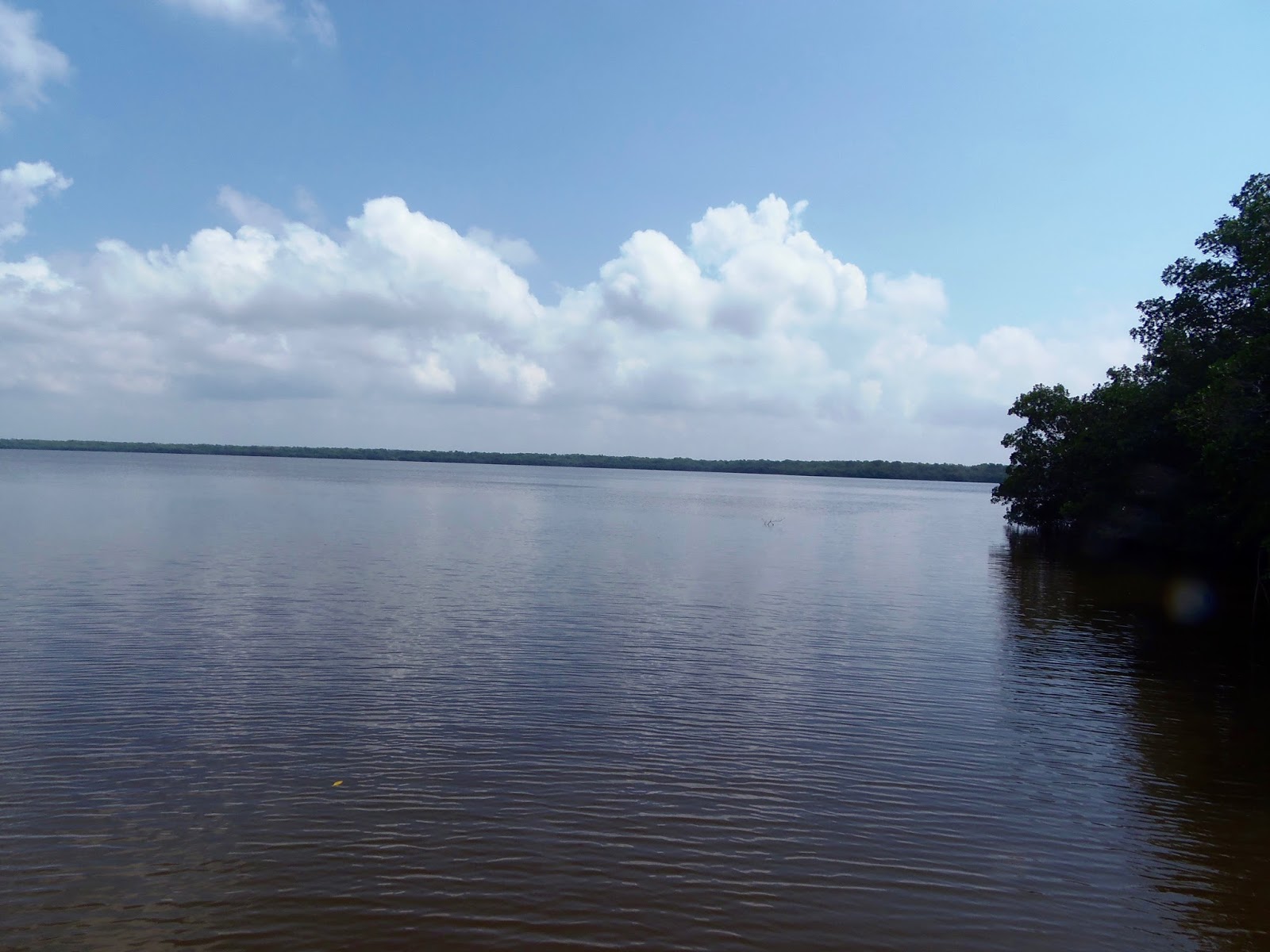 BayMoonDesign: Everglades Backcountry Tour Is an Inspiration