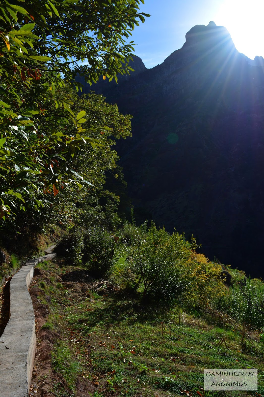 Caminheiros Anónimos Levadas da Madeira : Levada do Pico Furão (Curral ...