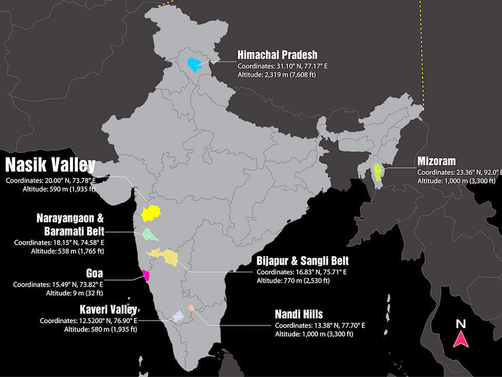 Gastro Wine Tour: Vinho Indiano - Indian Wine