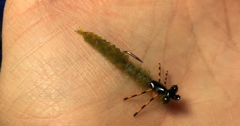 Bobcat Hollow Fly Fishing/Tying: New Damsel Pattern (and Body Technique)