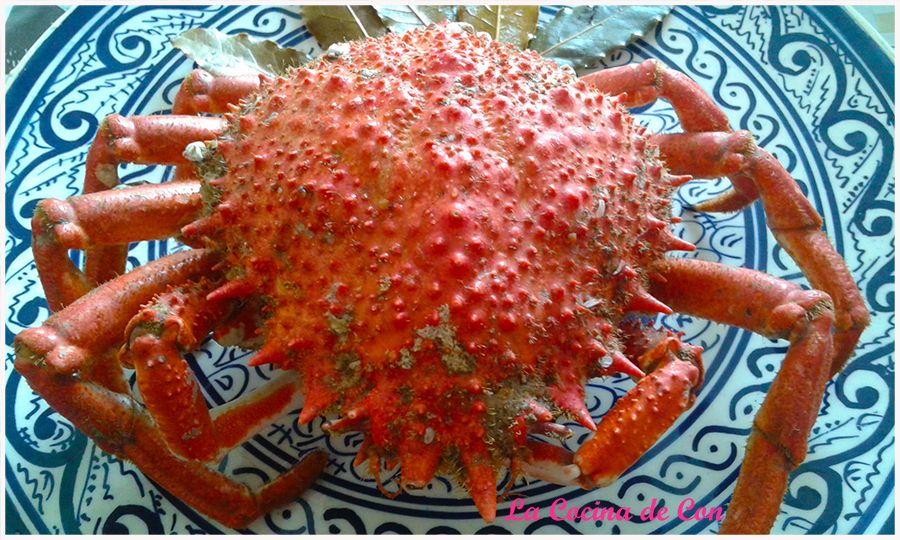 La Cocina de Con: Cómo cocer una centolla