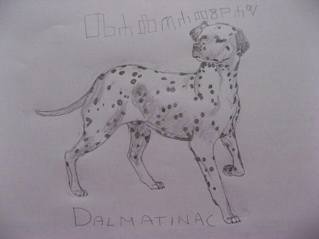 ČOVEKOV NAJBOLJI PRIJATELJ: CRTEŽI PASA