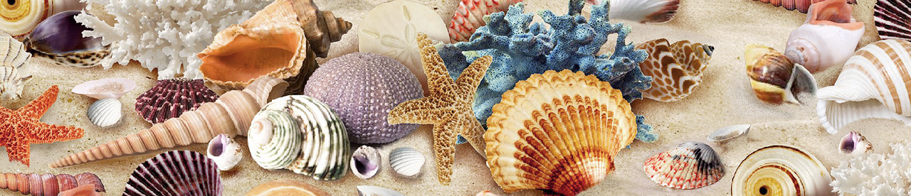 Siebert Realty Sandbridge Beach Virginia Beach Rentals VA Vacation ...