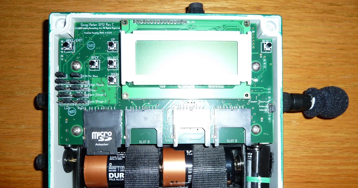 Bat Detector Reviews: The Song Meter SM2BAT Terrestrial Ultrasonic ...