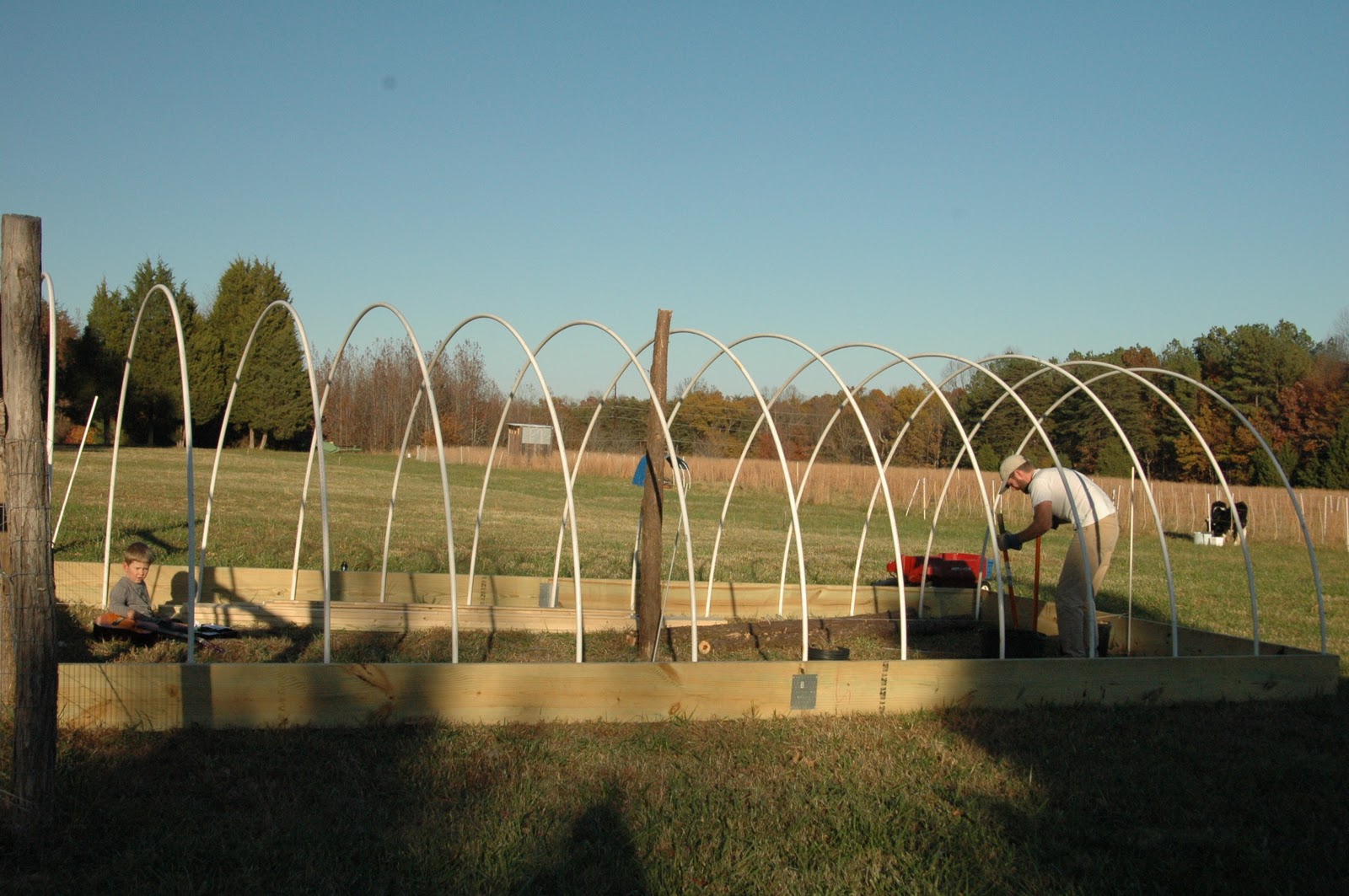 Green Legacy Farm: Hoop House!