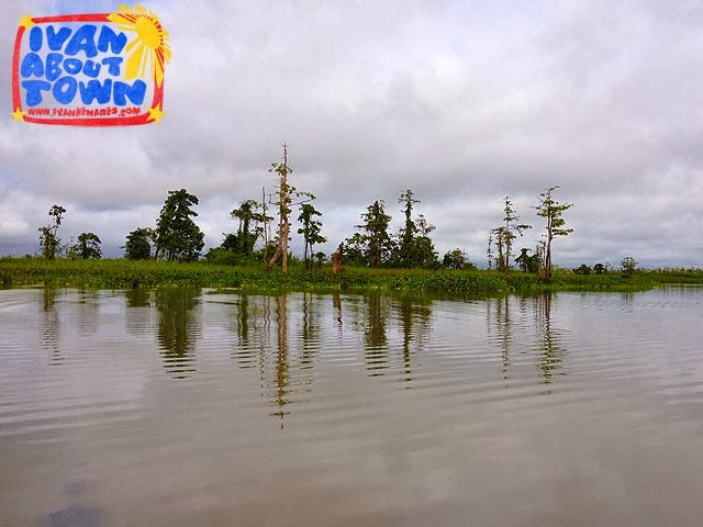Agusan del Sur: Agusan Marsh Wildlife Sanctuary | Ivan About Town
