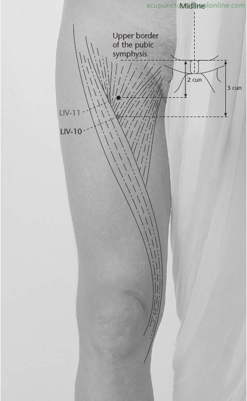 Jarum Sakti: Meridian Jue Yin Kaki/Liver