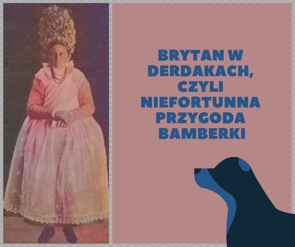 Brytan w derdakach, czyli niefortunna przygoda bamberki