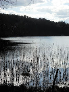 Ilana Travels: 16 Top Things to Do in Berlin for Free