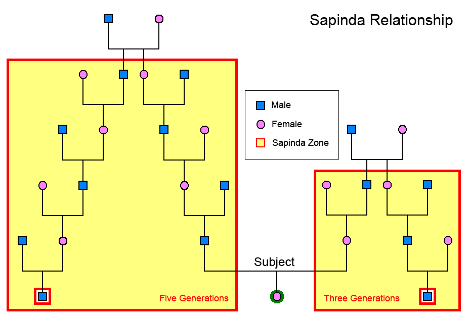 LAWDETAILS.BLOGSPOT.IN: Essentials of Valid Hindu Marriage (Family Law-1)