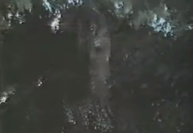 The Bloody Pit of Horror: World Beyond, The (1978) (TV)