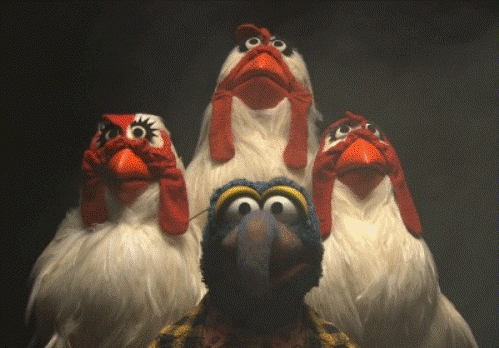 Muppets - Cia dos Gifs
