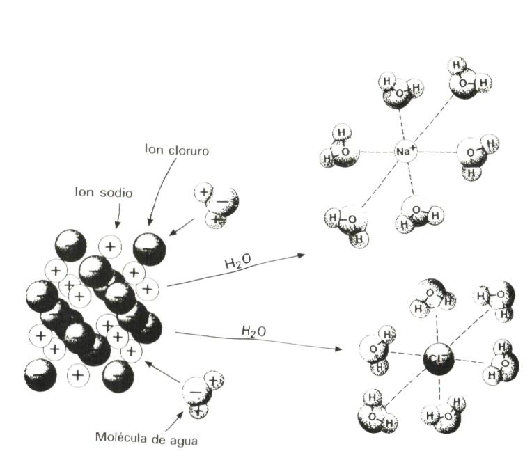 Química y Ciencia: Enlace iónico