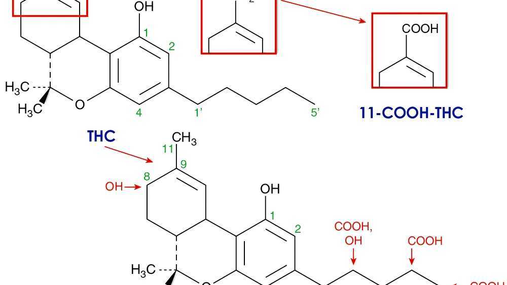 11-Nor-9-carboxy-THC