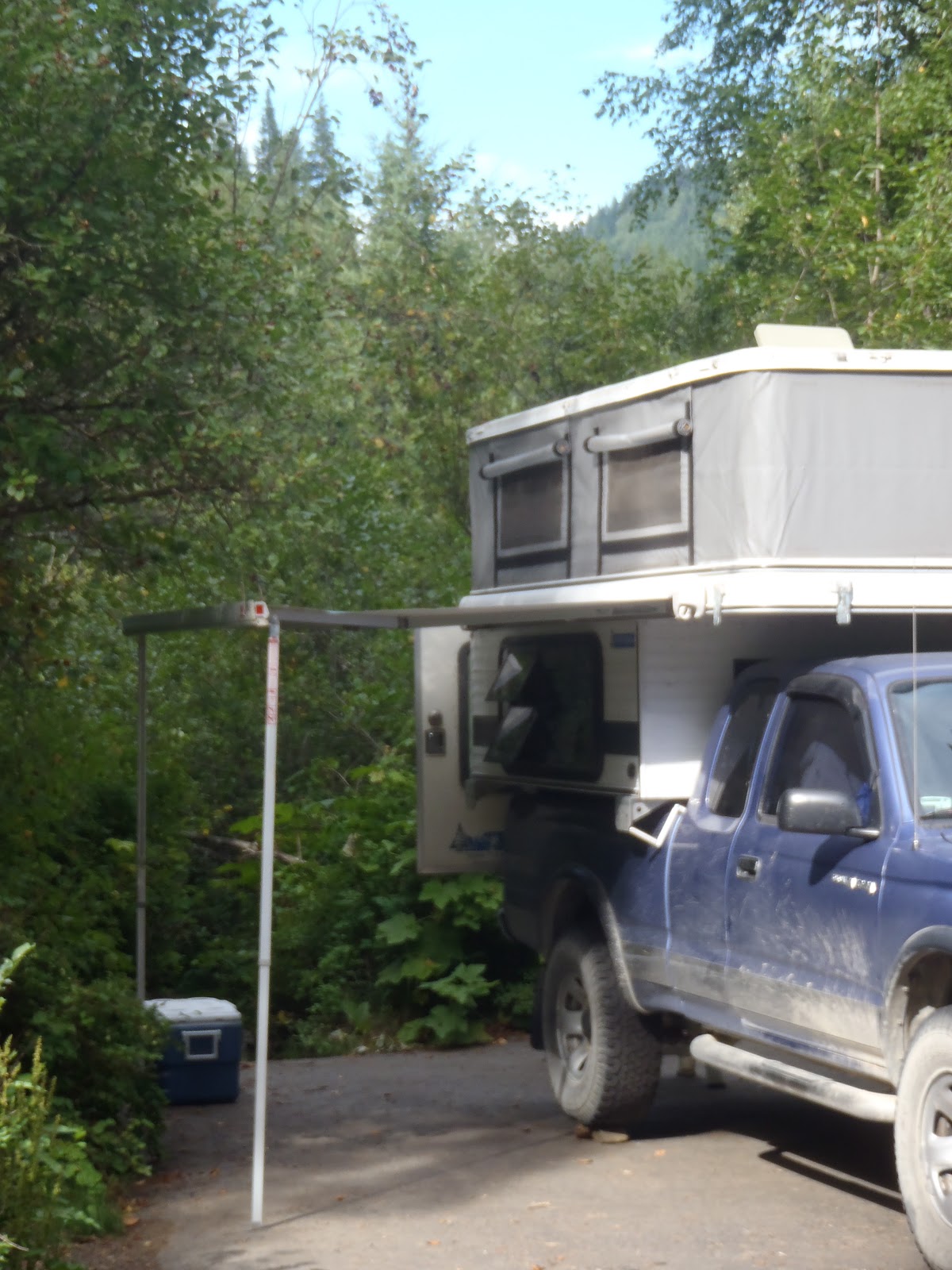 Phoenix Fly Casters, Fly Fishing Arizona: Lochsa River Cutties