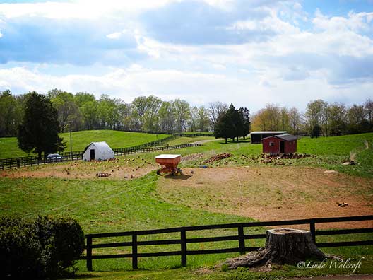 The View from Squirrel Ridge: Views at Whiffletree Farm