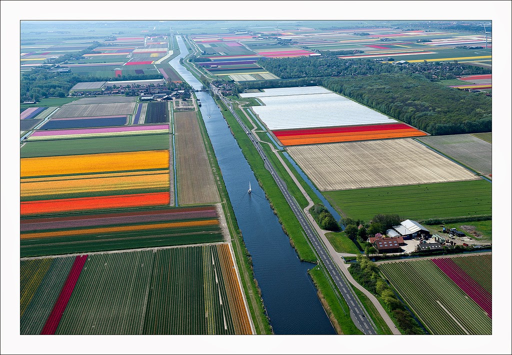 Inilah Pemandangan Ladang Bunga Terindah di Dunia | ardiyansyah.com